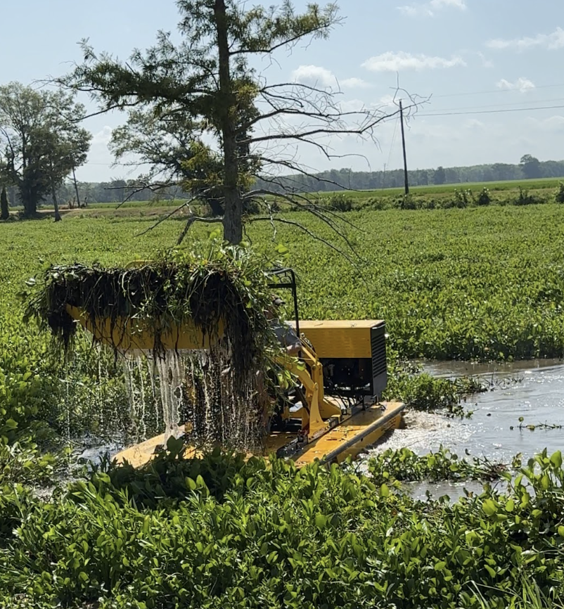Water Hyacinth | Weedoo Workboats